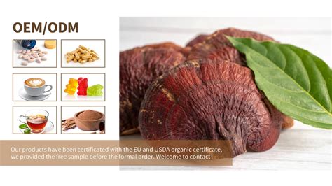 Ganoderma Lucidum Powder Ganoderma Lucidum Extract Polysaccharide Buy Ganoderma Mycelium