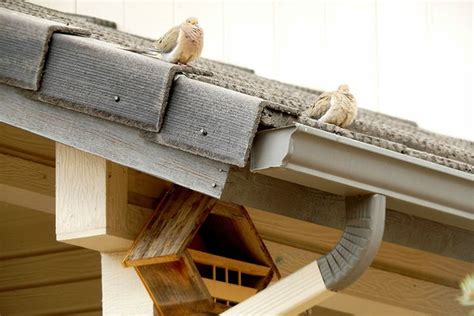 Plans For Mourning Dove Nesting Box In 2020 Bird House Plans Free