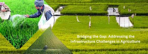 Insecticides Overview Types Uses And Benefits A Comprehensive Guide