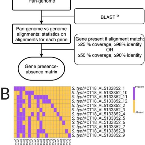 Genapi Workflow A Genapi Data Flow Including The Tools Cd Hit Est 16 Download Scientific