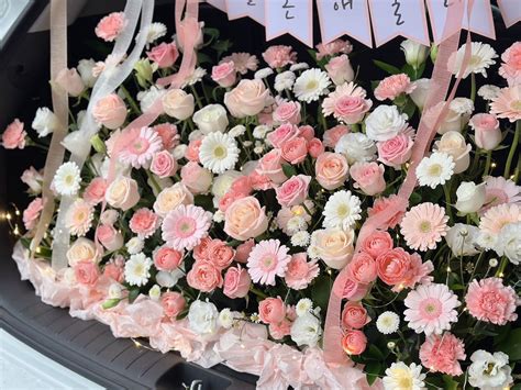 대구꽃집 모니크 플라워 대구트렁크프로포즈 녹색의 보석 나무 🌿 녹보수 𝐌𝐎𝐍𝐈𝐐𝐔𝐄 𝐅𝐥𝐨𝐰𝐞𝐫 주문 문의 📞0109330