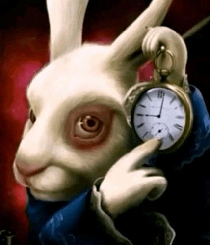 Time Rabbit Meme Time Rabbit Discover And Share S