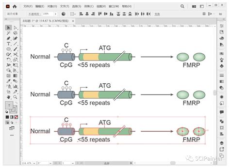 如何绘制好看的基因结构示意图？ 哔哩哔哩
