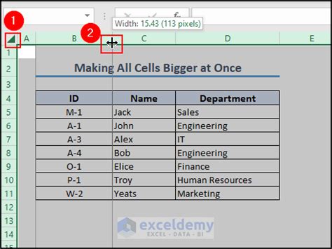 Excel Cell Size Change And Adjust ExcelDemy