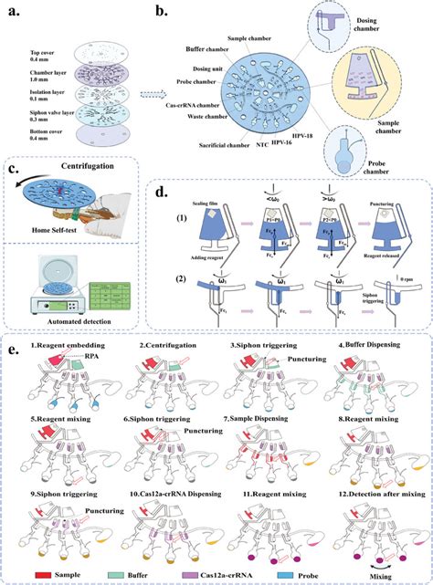 Deep Learning‐enhanced Hand‐driven Microfluidic Chip For Multiplexed Nucleic Acid Detection