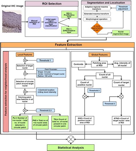 flow chart showing complete stepwise quantitative download