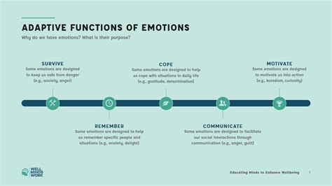 Adaptive Function Of Emotions Well Minds Work