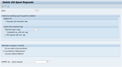 Sap Basis Administrator Blog Spool Overflow