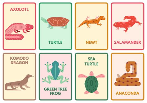 17 Types Of Reptiles Flash Cards Full Page Posters Educational Images