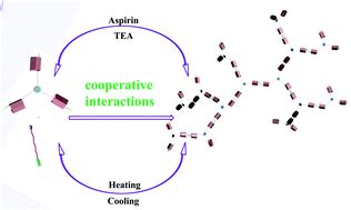 A Dual Responsive Hyperbranched Supramolecular Polymer Constructed By Cooperative Hostguest