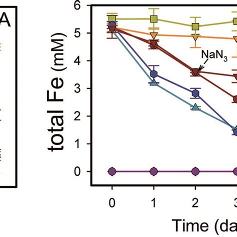 Transformations Of Dissolved Feii A And Total Fe B By 1