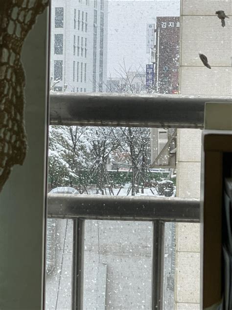 기태 어머니 11 봄이 오네 봄이 오네 겨울이 가네 고운 님 여의옵고 가기 싫은 마지막 겨울이 가네 보고 싶은 첫 봄이 오네 있다가 곧 번개에 꽃 떨어지기 전에 기다리네