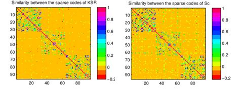 Similarity Between The Sparse Codes Of Ksr And Sc Download