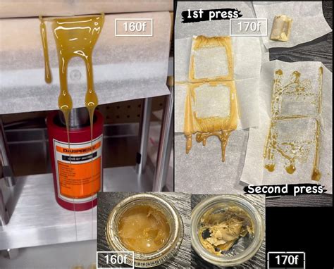 same hash different temp r rosin2