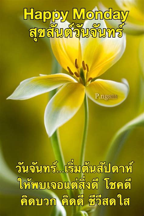 วันจันทร์ วันจันทร์ คำคม อรุณสวัสดิ์