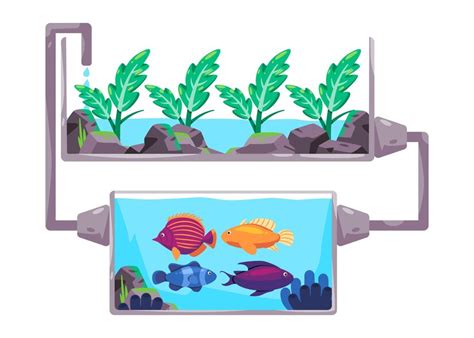 Premium Vector Aquaponics System In Smart Farming Method Flow Of