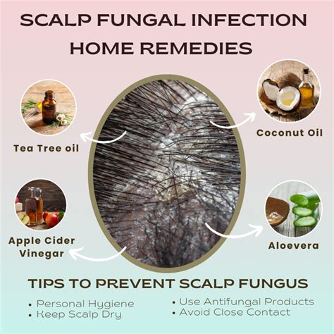 How To Remove Excess Sebum From Scalp Causes And Tips