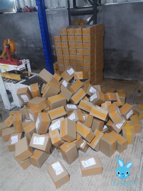 Adult Sex Toys Dropshipper Blue Rabbit