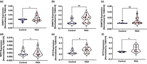 Expression Of Dnmts And Tets Elevated In Leukocytes From Download