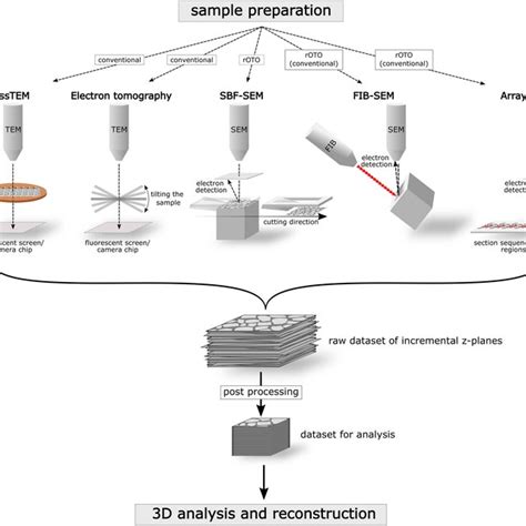 Serial Sectioning Tem Sstem And Array Tomography At Left Sstem Of