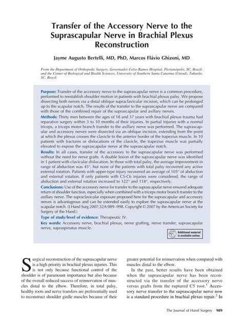 Pdf Transfer Of The Accessory Nerve To The Suprascapular Nerve In Brachial Plexus