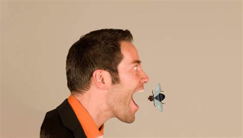 Bug Flying Into Your Mouth Spiritual Meaning Symbols And Synchronicity