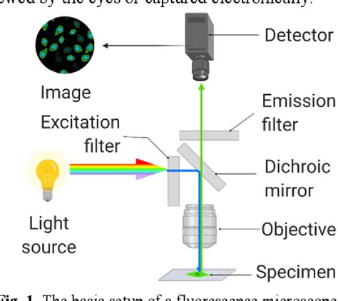 Figure 1 From Three Basic Types Of Fluorescence Microscopy And Recent
