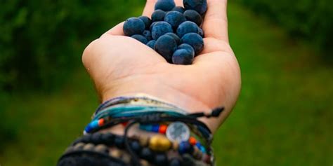 What Are The Most Important Nutrition Indicators For Who Femilead