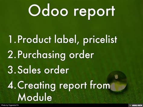 Odoo Report Pdf