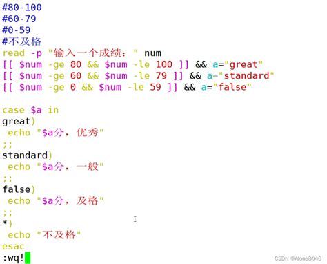 Shell编程之条件语句 Shell的四种表达方式及例句 Csdn博客