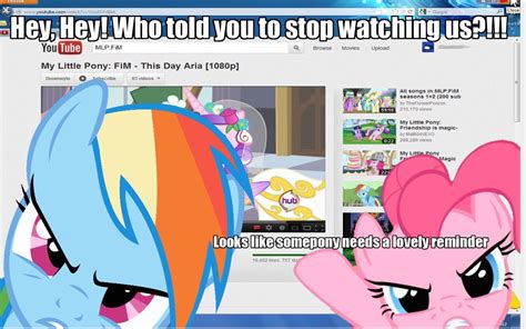 Mlp Fim Memes Dont Ever Pause An Mlp Video Wattpad