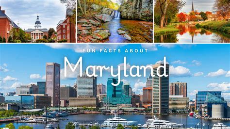 Ten Fun Facts About Christmas You Probably Didnt Know Learn Bright