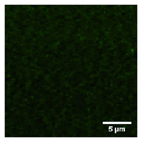 Confocal Images Collected 530 Nm Of As Casted Unfiltered Samples A