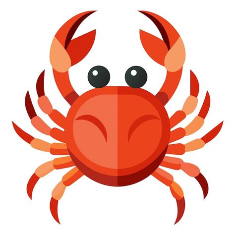 Premium Vector Crab Vector Illustration