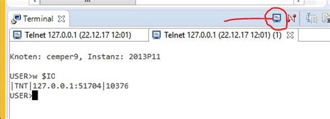 Atelier Terminal Intersystems Developer Community Beginneratelier