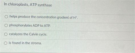 Solved In Chloroplasts Atp Synthasehelps Produce The