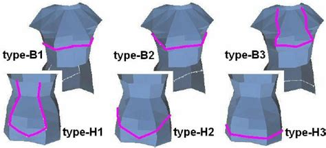 The Constraining Lines Of Different Types Bust From The Front View Download Scientific Diagram