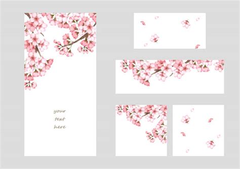 Chinese Cherry Blossom Tree Illustrations Royalty Free Vector Graphics