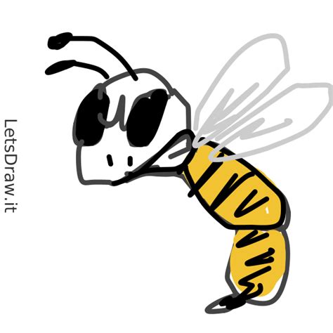 How To Draw Wasp Pdpxghjqb Png LetsDrawIt How To Draw Wasp Pdpxghjqb Png LetsDrawIt