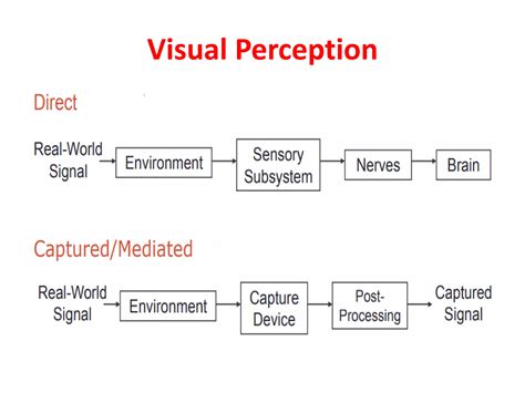 Elements Of Visual Perception Pdf