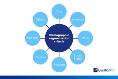 Demographic Segmentation Importance How To Guide Template And Advantages Questionpro