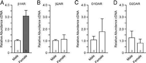 1 Adrenergic Receptor Expression Is Increased In Menopausal Human