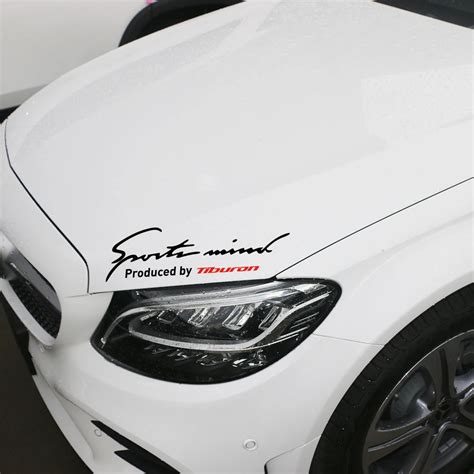 Hyundai Tiburon Decals Wheels Cover