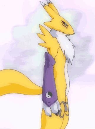 Renamon Digimon Gif Renamon Digimon Digimon Discover Share Gifs