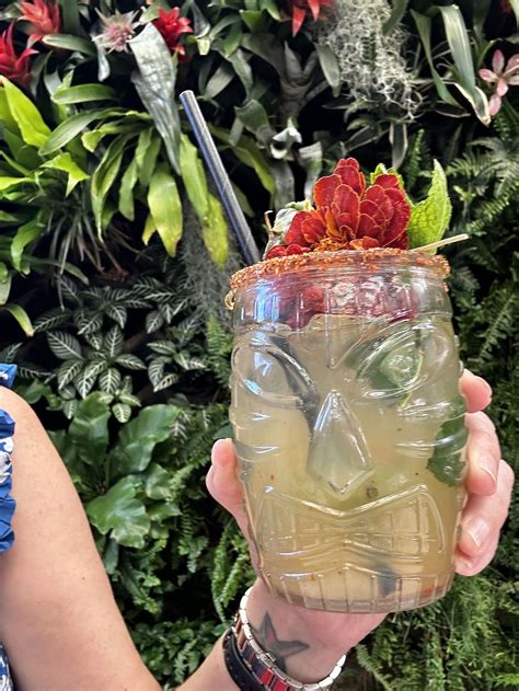 Tac Quila Review At Kevin Morel Blog