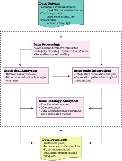A Diagram Illustrating Lint Web Workflow And Data Processing Procedure Download Scientific