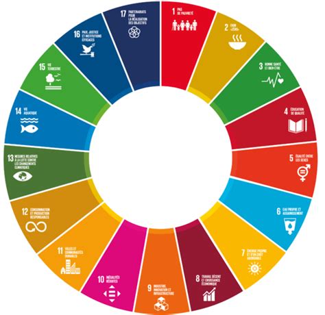 Les Odd Echos Descaleechos Descale
