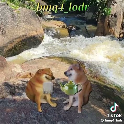 Meme Cheems Lỏ Youtube