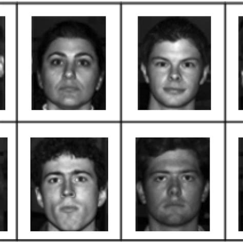 Sample Images From Extended Yale B Face Database Database 4 Download Scientific Diagram