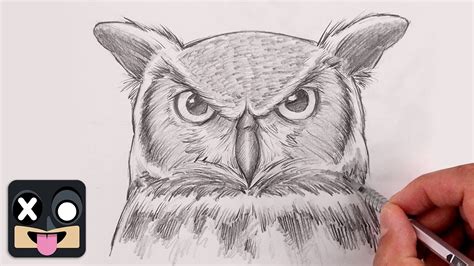 How To Draw Great Horned Owl Sketch Tutorial Youtube